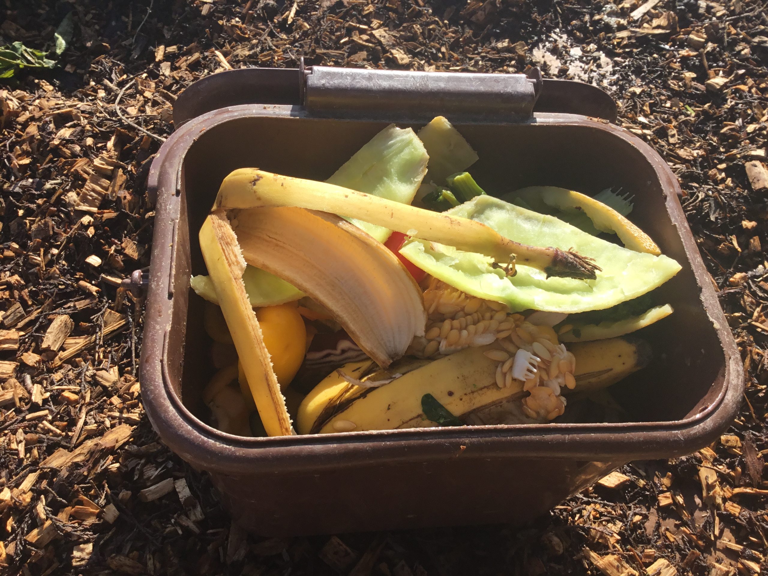 How and why to compost in a tumbler, the complete guide - Micro Farm Days