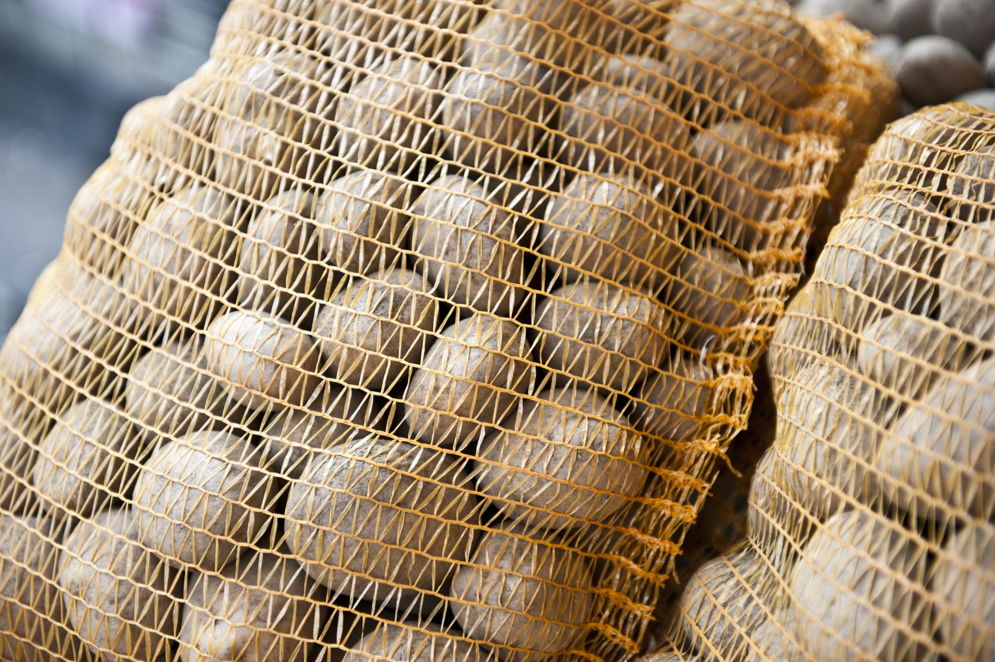 Harvest to Hold: the Best Potatoes for Long-term Storage - Micro Farm Days