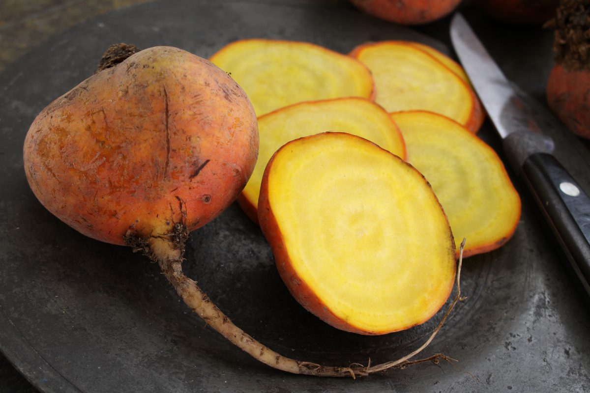 How to Grow Beetroot, A Step-by-Step Guide to Cultivating Joyful Roots ...