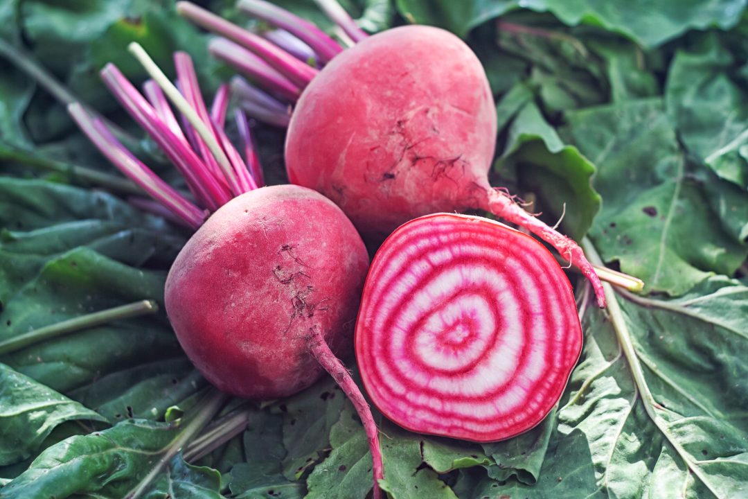 How to Grow Beetroot, A Step-by-Step Guide to Cultivating Joyful Roots ...
